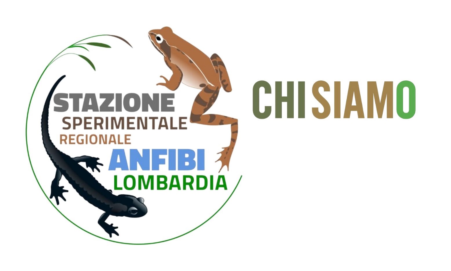 Chi Siamo | Stazione regionale anfibi in Lombardia